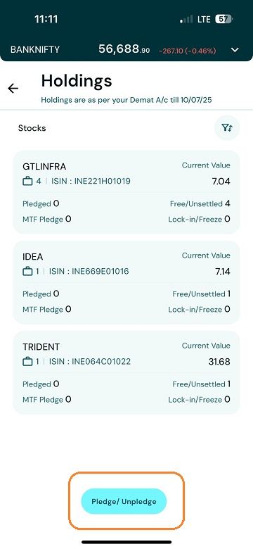 How to Check Your Pledged Shares in Trading
