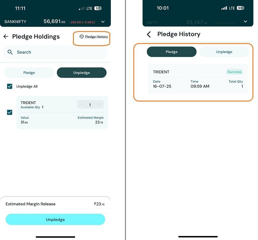 How to Check Your Pledged Shares in Trading